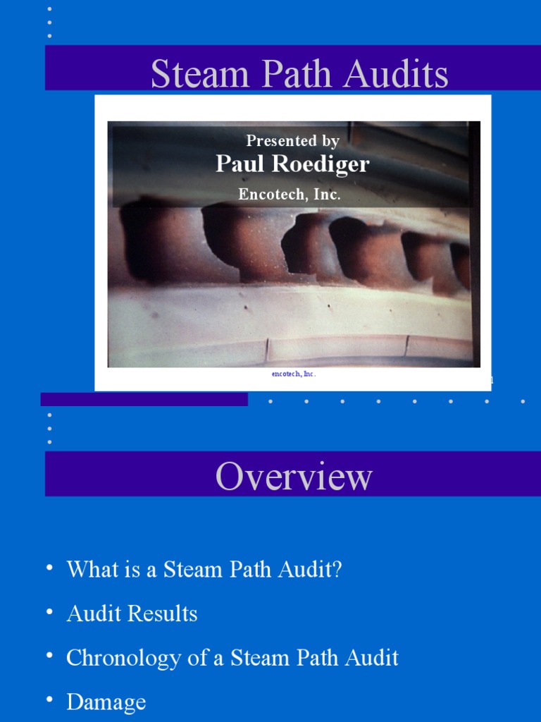 Steam Path Audit | PDF | Turbine | Applied And Interdisciplinary Physics