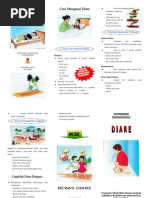 Leaflet Diare | PDF