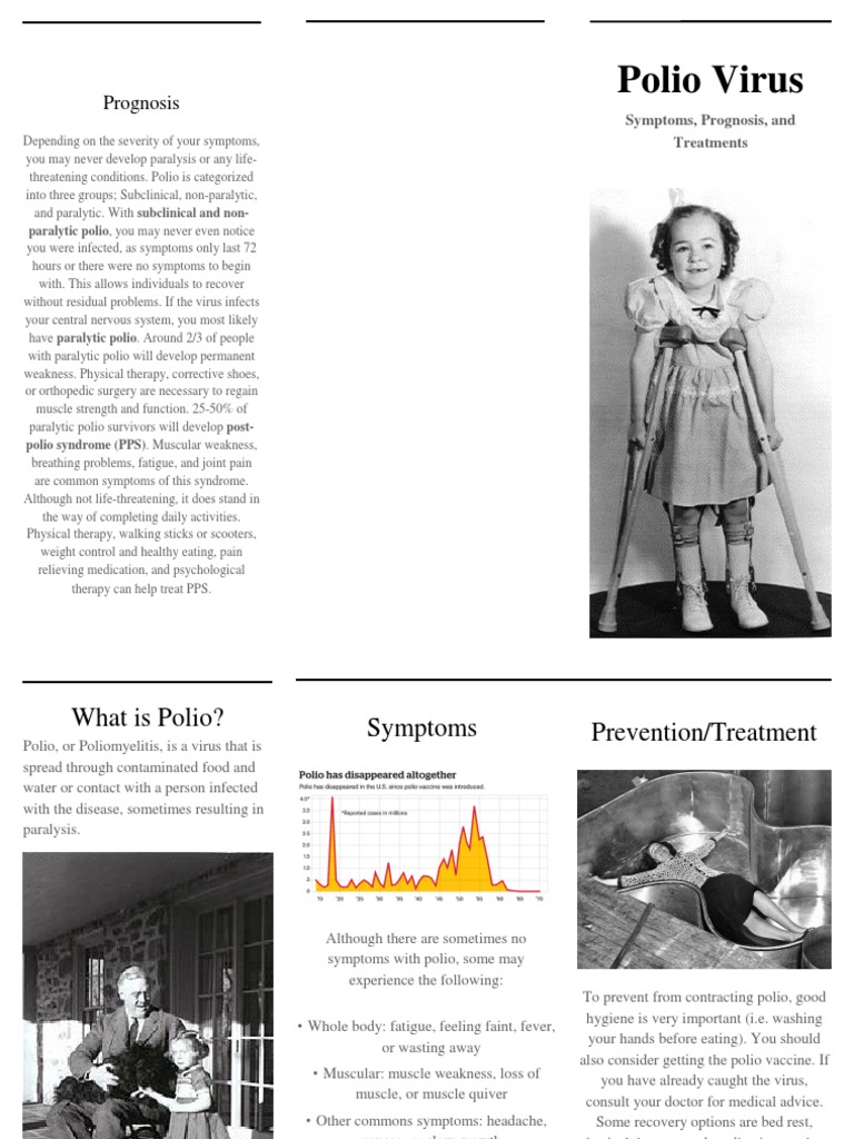 Polio Brochure | PDF | Poliomyelitis | Epidemiology