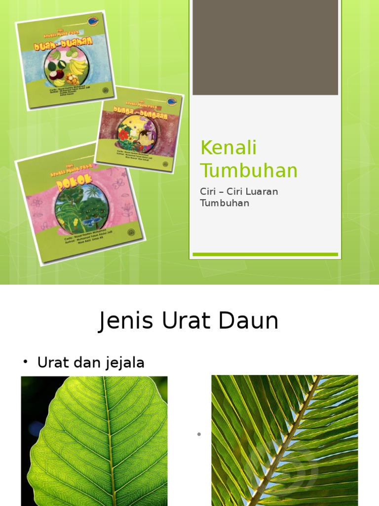 Kenali Tumbuhan | PDF