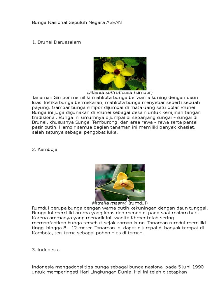 Bunga Nasional Sepuluh Negara Asean | PDF | Sains & Matematika