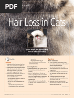 Cat FAS and Frustration Scale Guide | PDF