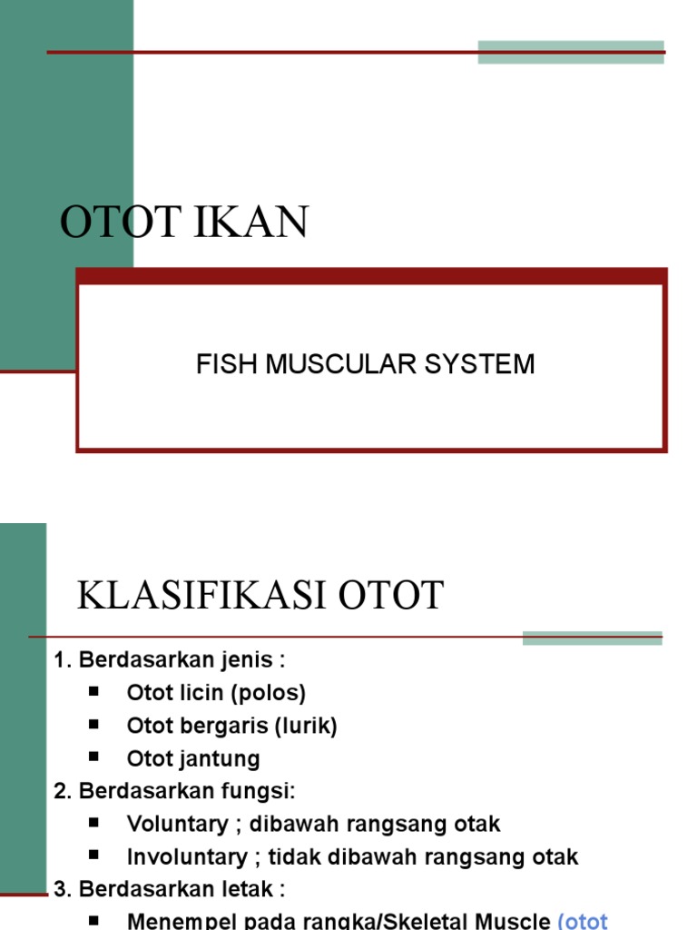 5 Otot-Ikan | PDF