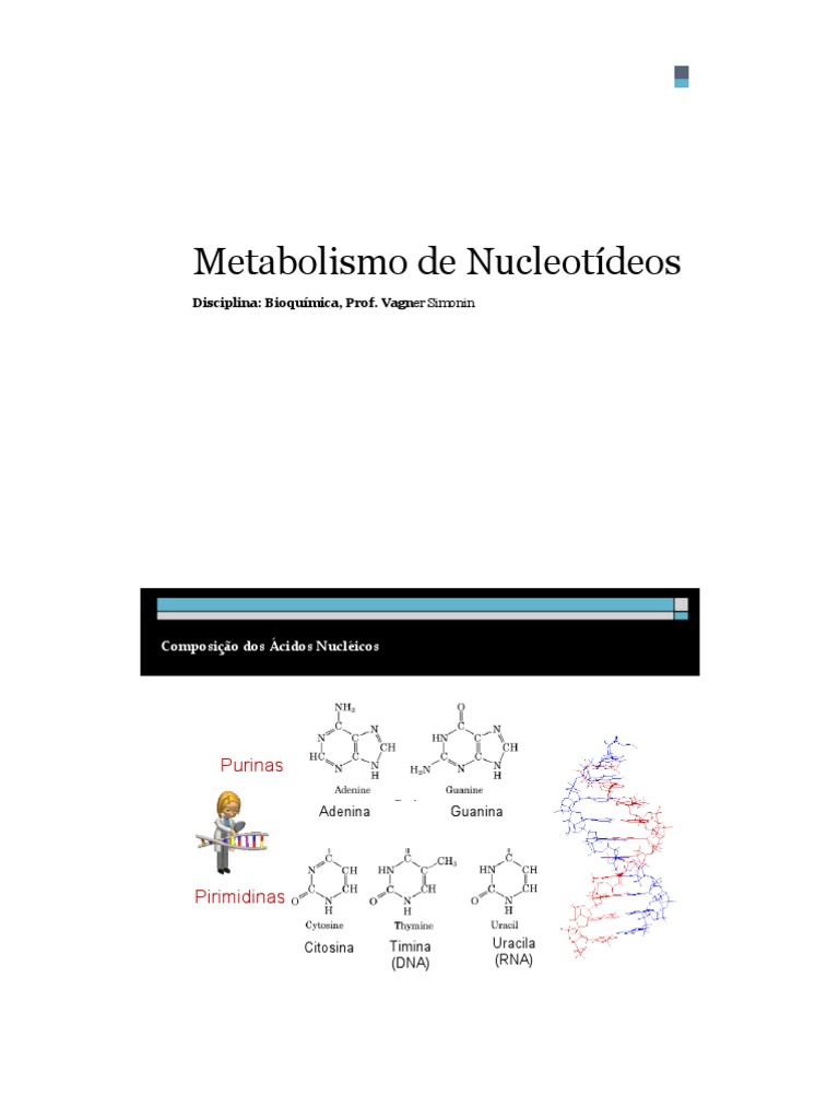 Nucleotideos Pdf