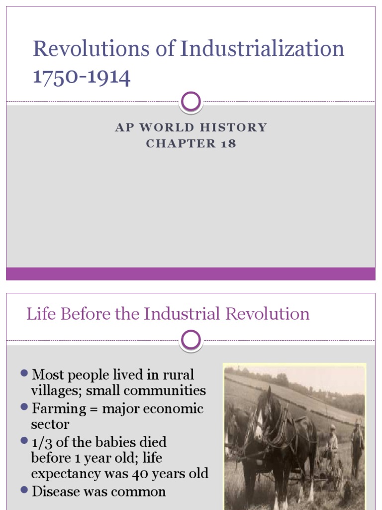 Review 43 Industrial Revolution | PDF | Trade Union | Industrial Revolution