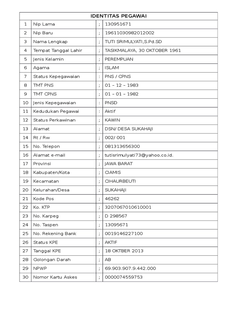 Identitas Pegawai Simpeg Online | PDF