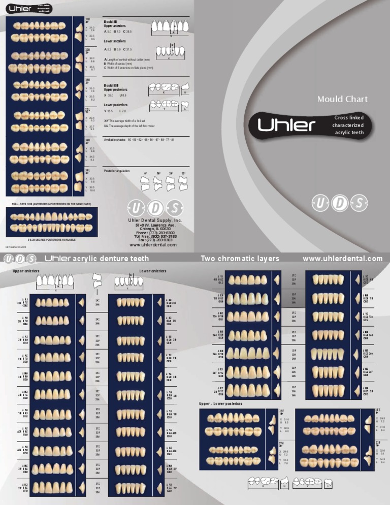 Mould Chart: Mould 3M Upper Anteriors | PDF | Mouth | Dentistry