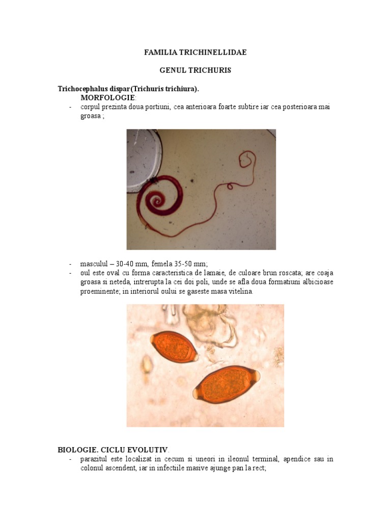Familia Trichinellidae | PDF