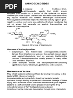 Antibiotic Abbreviations Guide | PDF | Antibiotics | Drugs