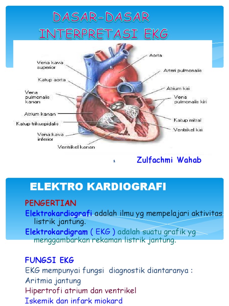 Panduan Lengkap Elektrokardiografi EKG | PDF