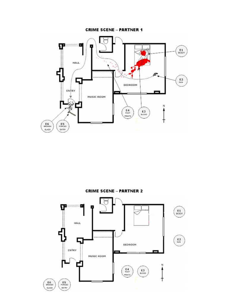 Crime Scene Investigation | PDF