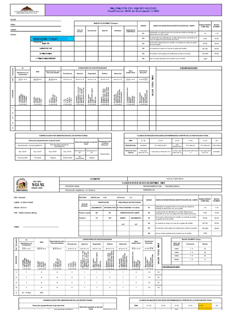 205278271-FORMATO-RMR-89-xls | Referencia | Naturaleza