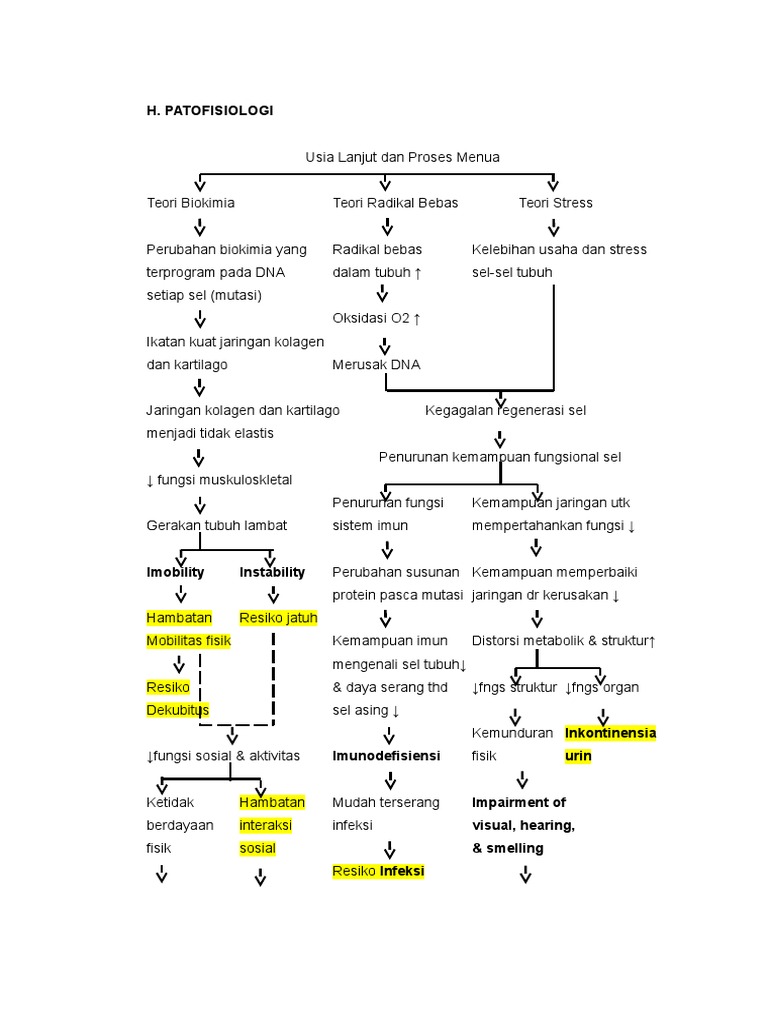 Patofis Sindrom Geriatri | PDF