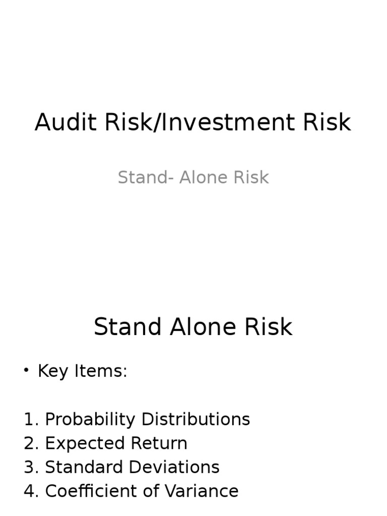 Audit Risk Report | PDF | Business