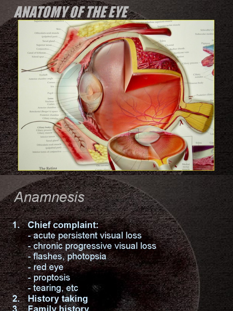 Pemeriksaan Mata | PDF | Visual Acuity | Human Eye