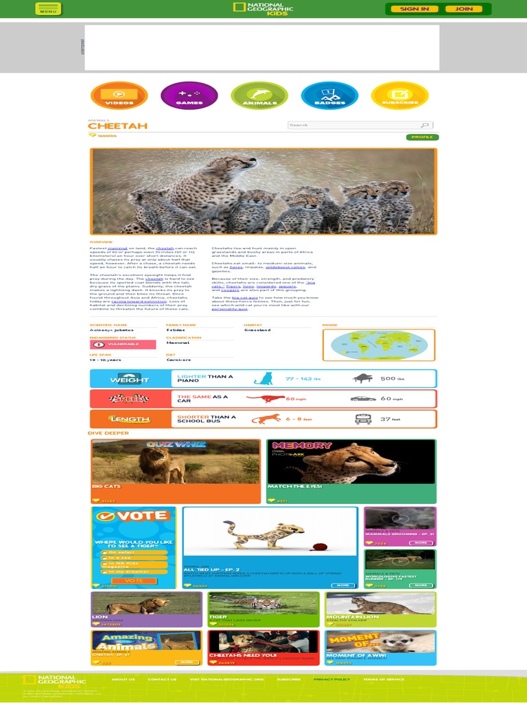 Cheetah | PDF | Felidae | Species