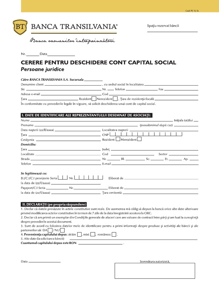 Cerere Deschidere Cont Capital Social Pj12b Form | PDF