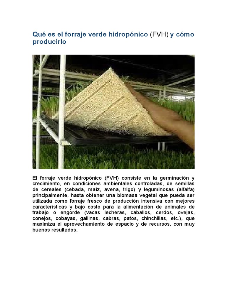 FVH Artesanal Forraje Verde Hidropónico | PDF | Hidroponia | Alimentos