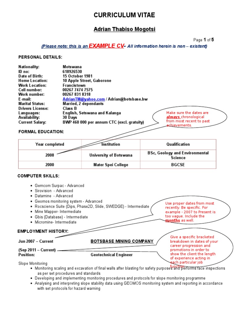 CV Geologist Example | PDF | Geotechnical Engineering | Geology