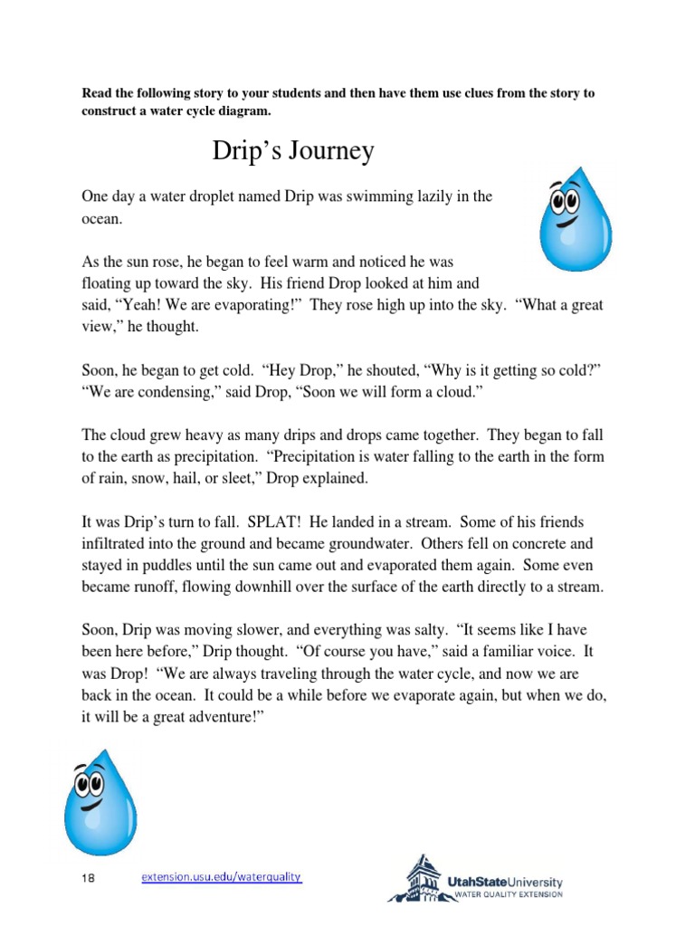 Drip Journey (2)