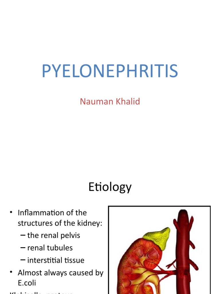 Pyelonephritis | PDF | Kidney | Intravenous Therapy