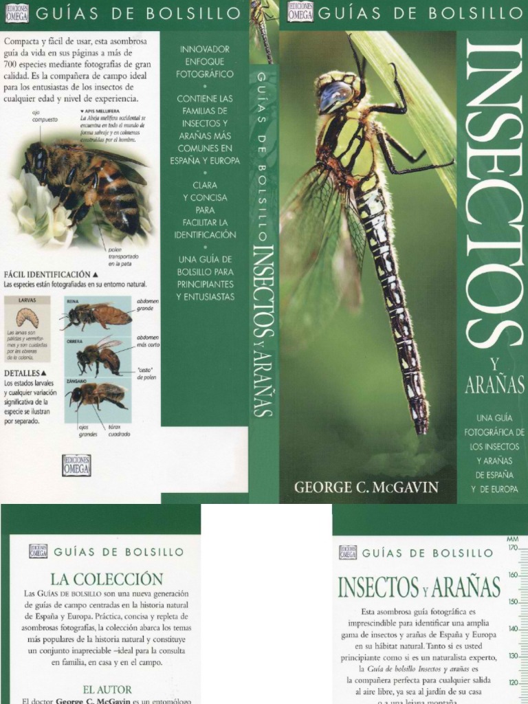 Animales - Insectos y Arañas de España y Europa PDF | PDF