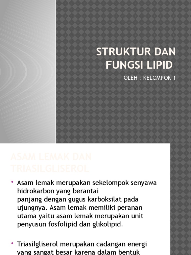 Struktur Dan Fungsi Lipid | PDF