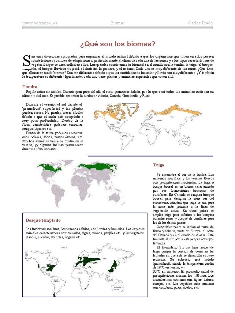 Biomas Del Mundo | PDF | Biogeografia | Habitat