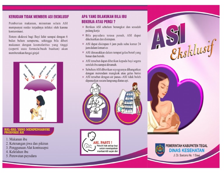 Leaflet Asi Eksklusif | PDF