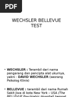 Manual Test Cfit | PDF