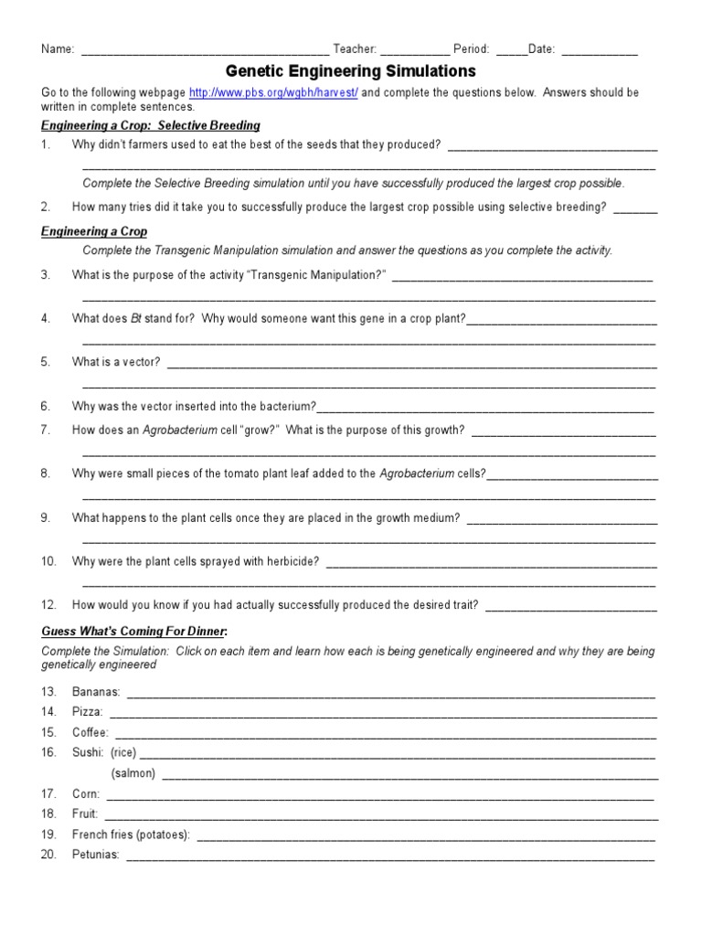 Genetic Engineering Webquest 5 16 17 | PDF | Genetic Engineering ...