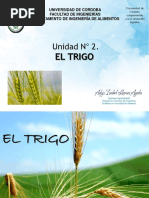 El Origen Del Trigo y Su Historia | Trigo | Siembra | Prueba gratuita ...