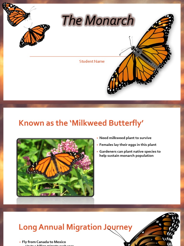 Extend 2-1 Monarch | PDF