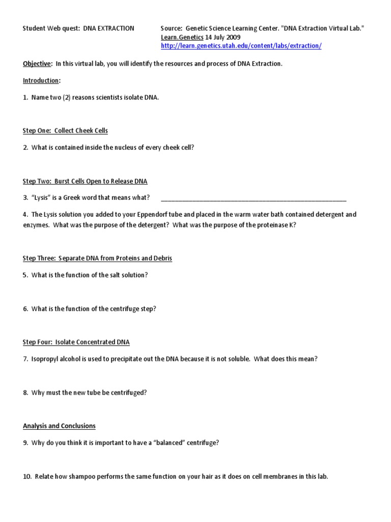 Dna-Extraction-Lab-Sheet 5 18 17 | PDF