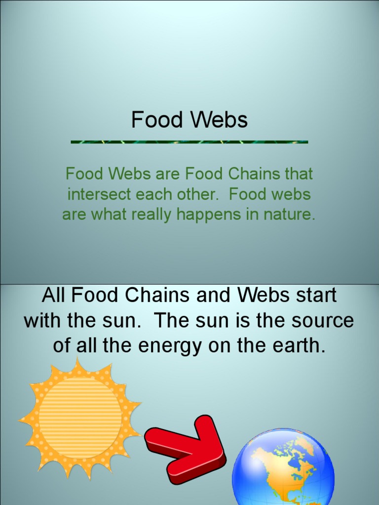 Food Webs | PDF | Food Web | Biogeochemistry