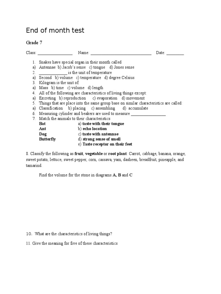 Grade 7 Science Test Questions | PDF