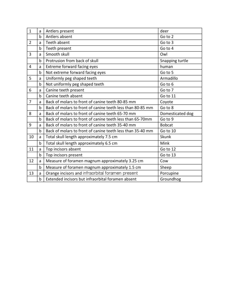 Dichotomous Key | PDF | Tooth | Organisms