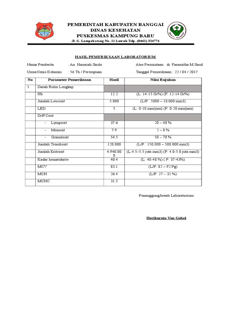 Lab Hasil Pemeriksaan Darah Rutin Lengkap Penderita An. Hamriah Saido | PDF