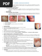 Onicectomía: Procedimiento y Cuidados | PDF | Clavo (anatomía) | Dedo ...