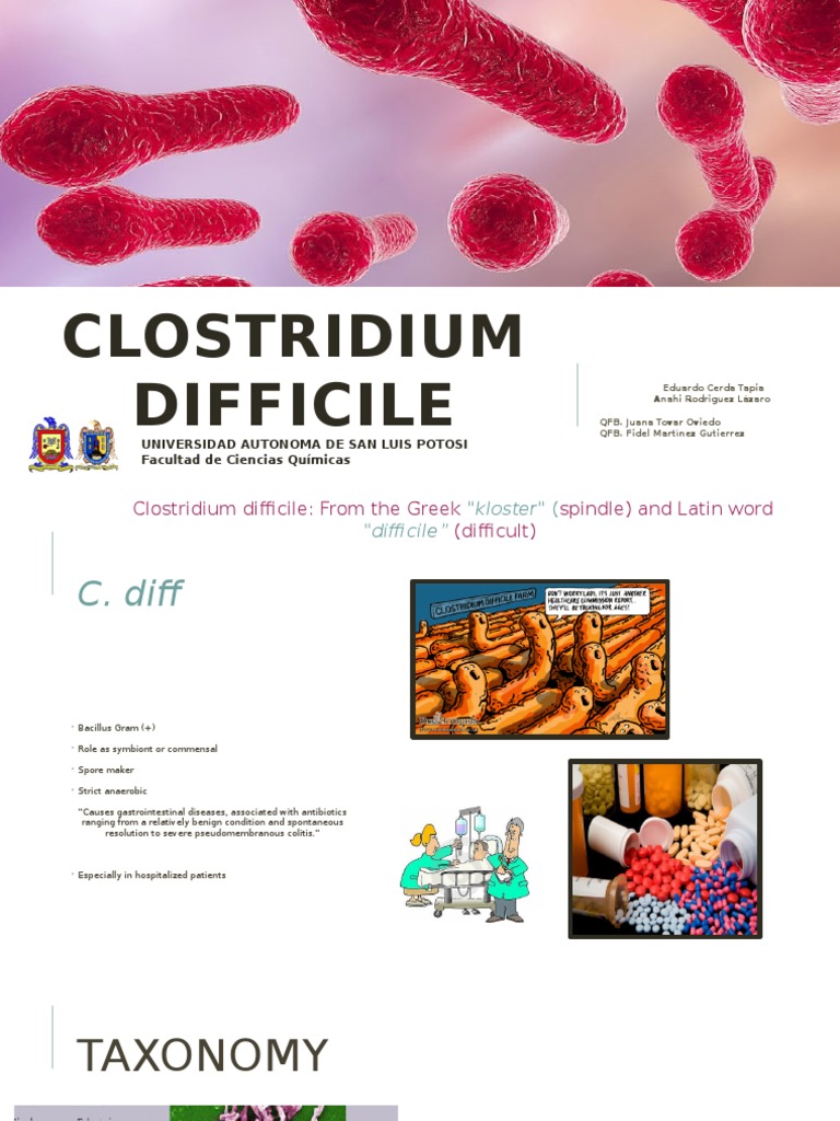 Clostridium Difficile: Universidad Autonoma de San Luis Potosi Facultad ...