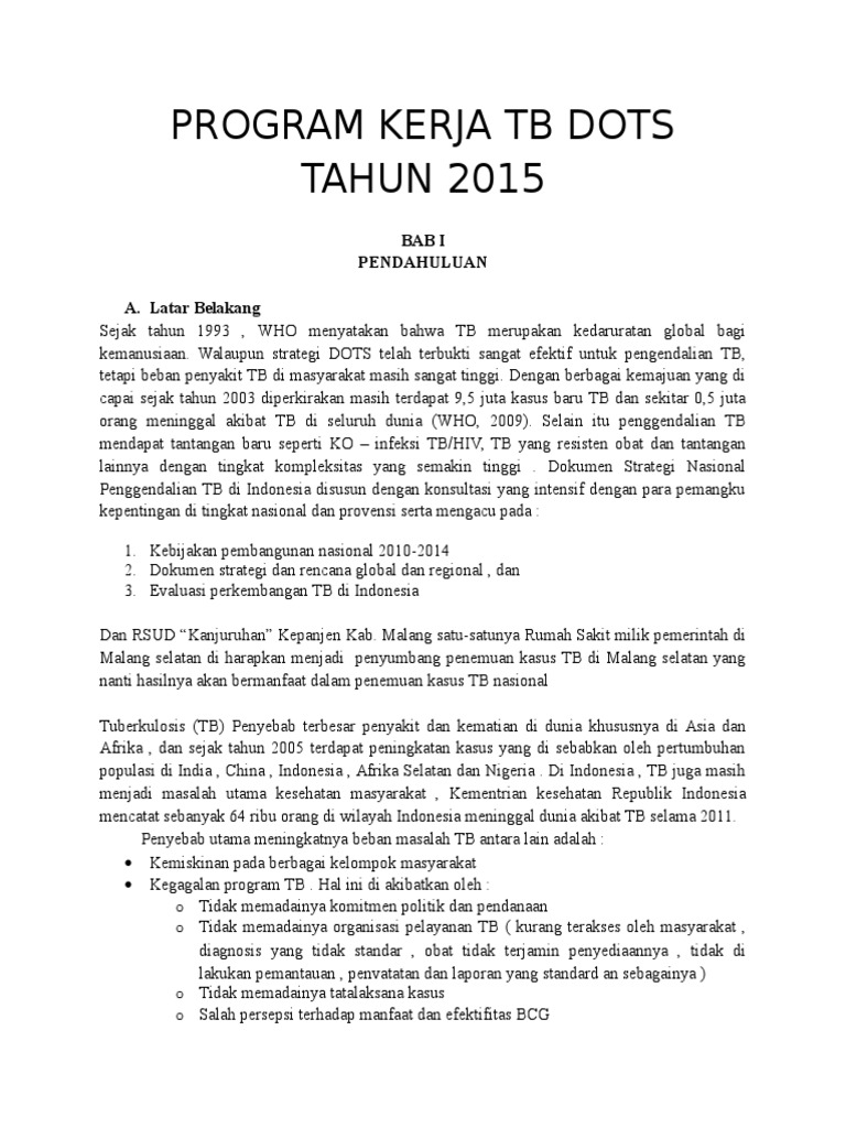 Program Kerja TB Dots | PDF