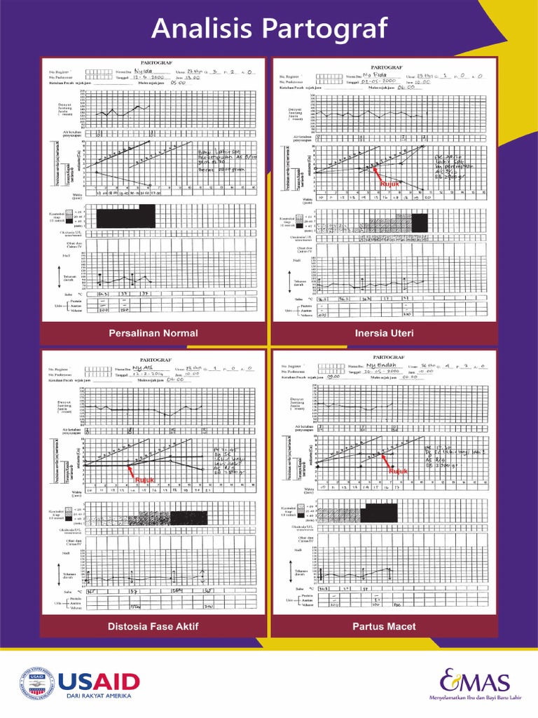 Partograf PDF | PDF
