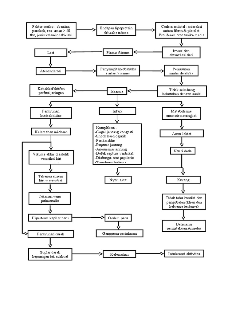 Pathway Stemi Pdf