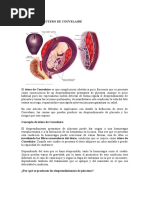 Maniobra de Ritgen | PDF | Parto | Reproducción