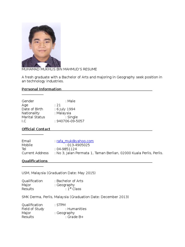 CV Mukhlis Mahmud | PDF