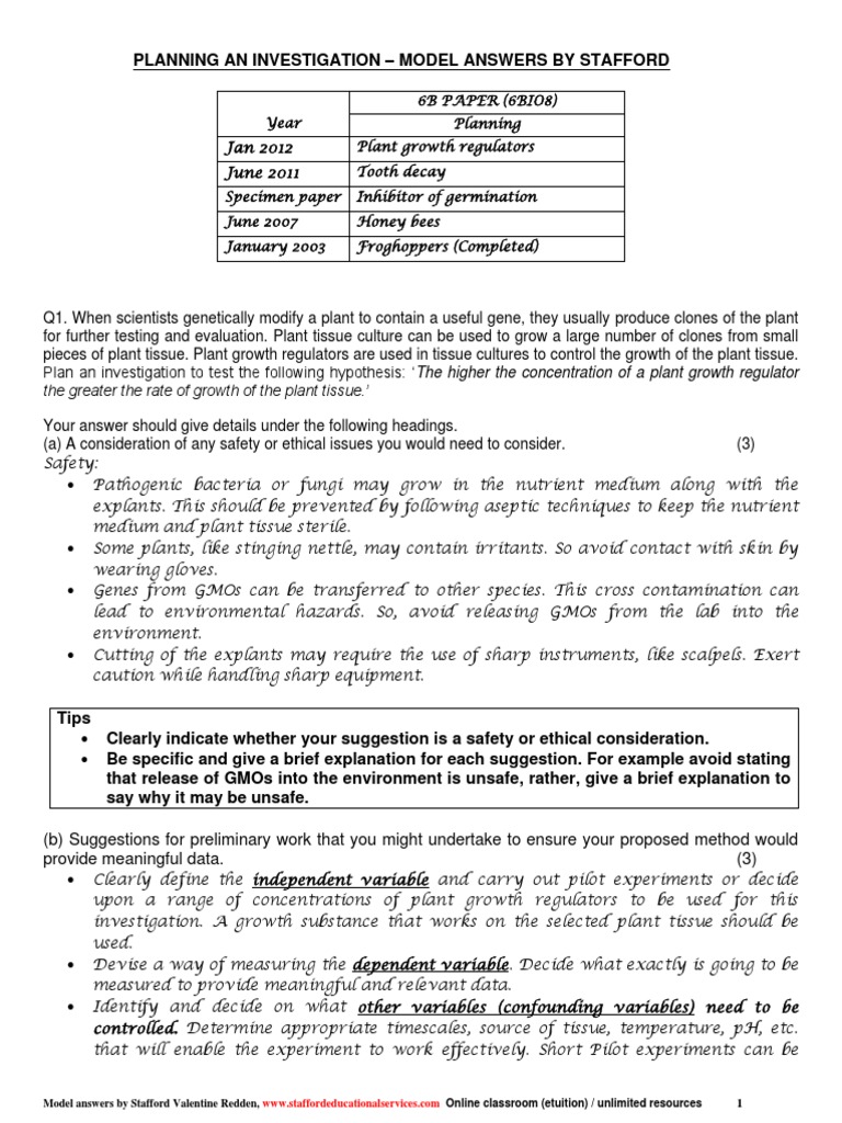 Planning An Investigation Model Answers Five Complete Plans | PDF ...