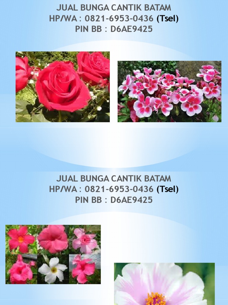 0821-6953-0436 (Tsel), Tempat Jual Bunga Segar Di Batam | PDF