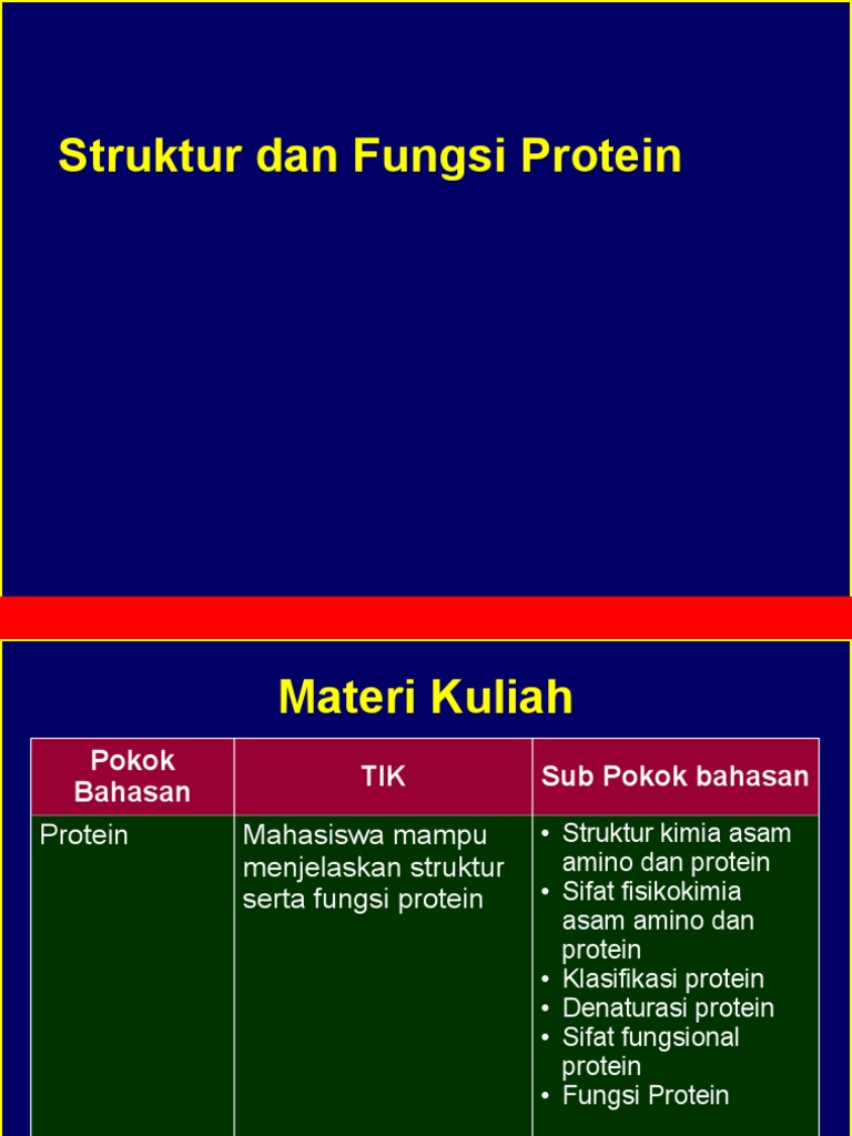Struktur Dan Fungsi Protein | PDF