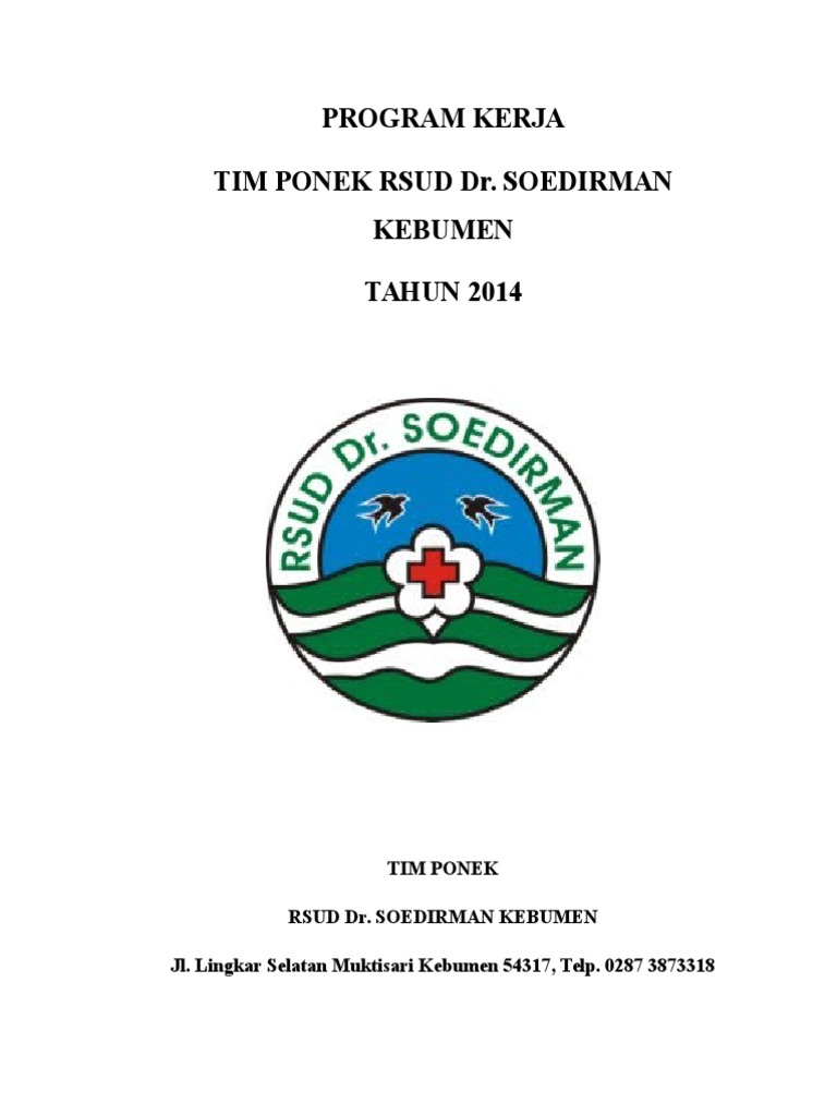 Program Kerja Ponek | PDF