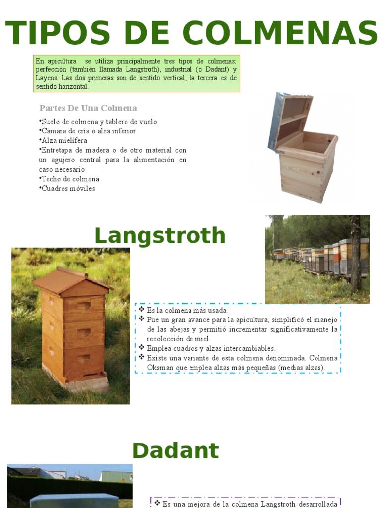 Tipos De Colmenas Pdf Apicultura Insectos Agrícolas Beneficiosos